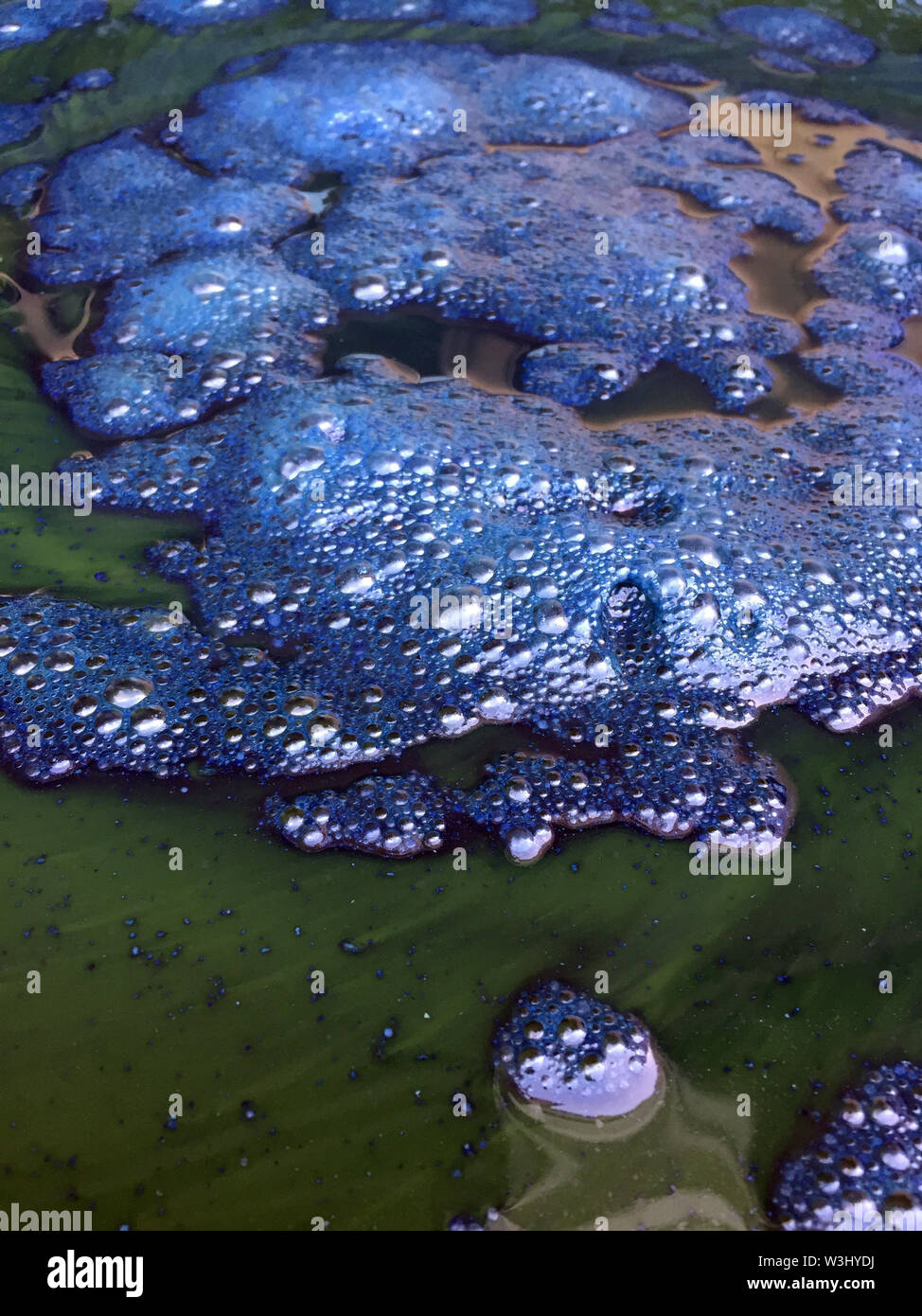 Indigo dyeing process hi-res stock photography and images - Alamy