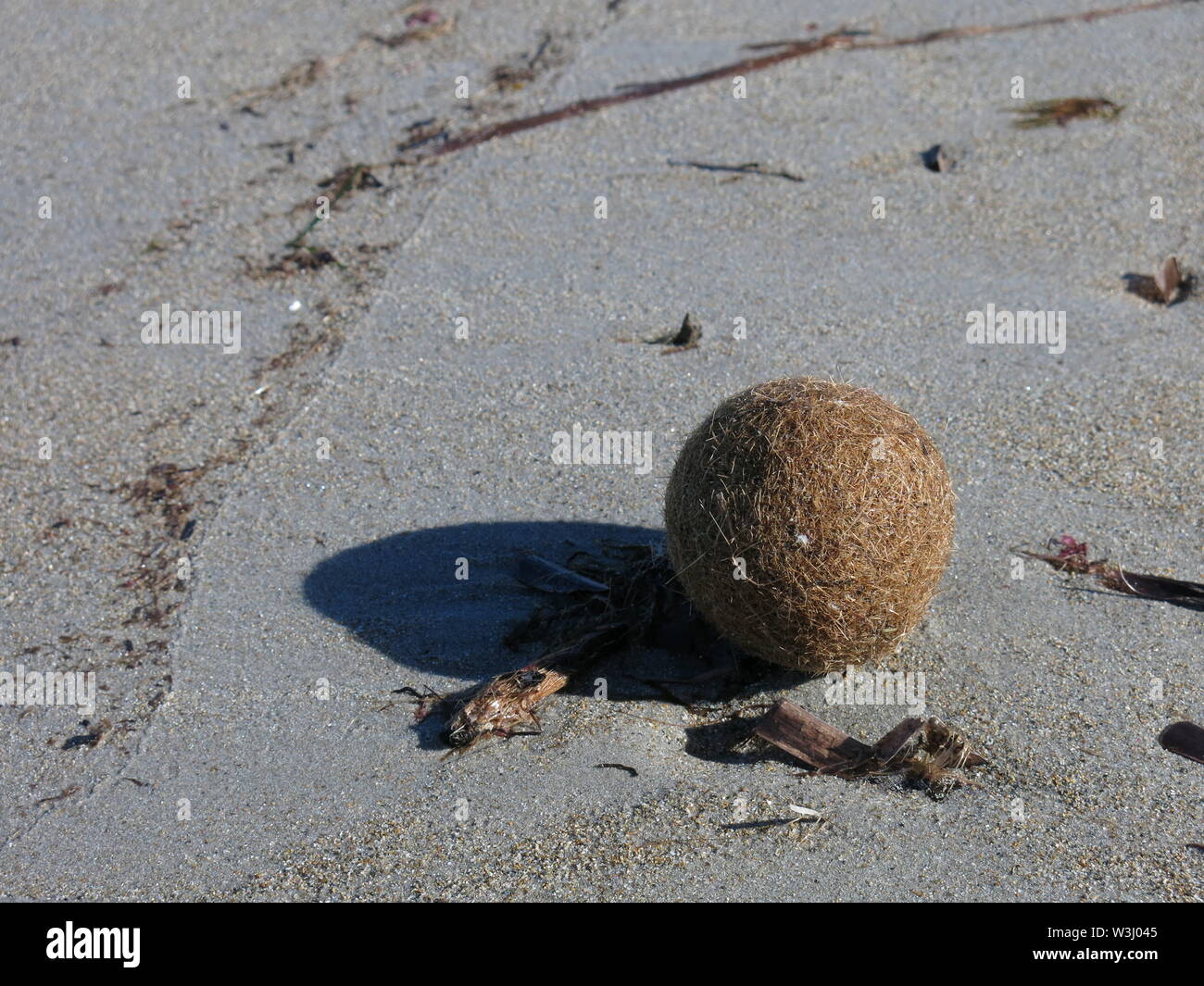 Wind ball hi-res stock photography and images - Alamy