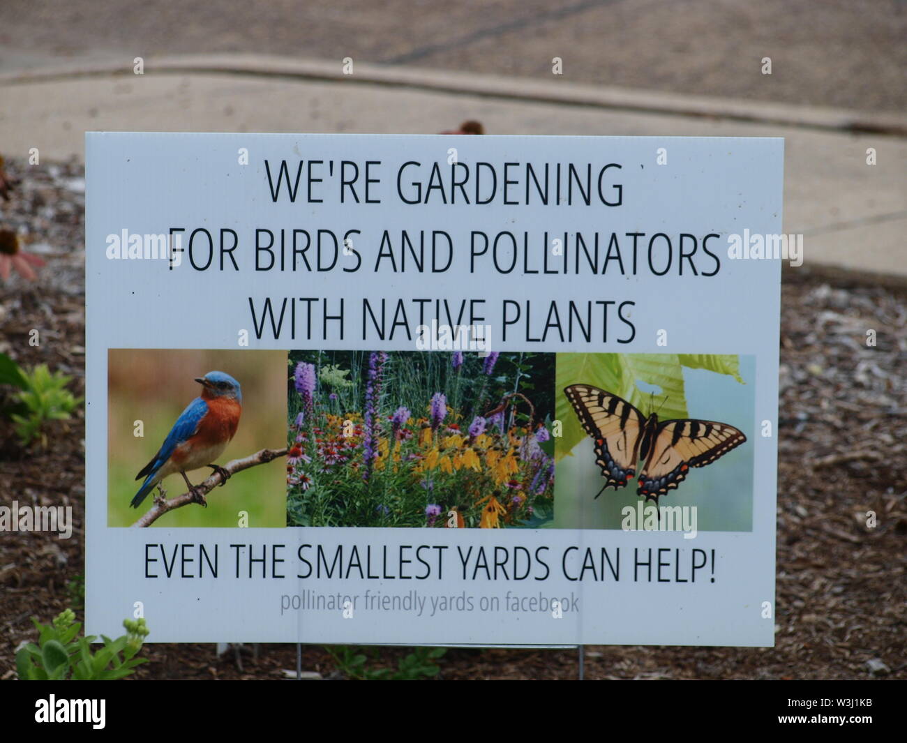 Gardening with Native plants,herbs and brightness of thought Stock ...