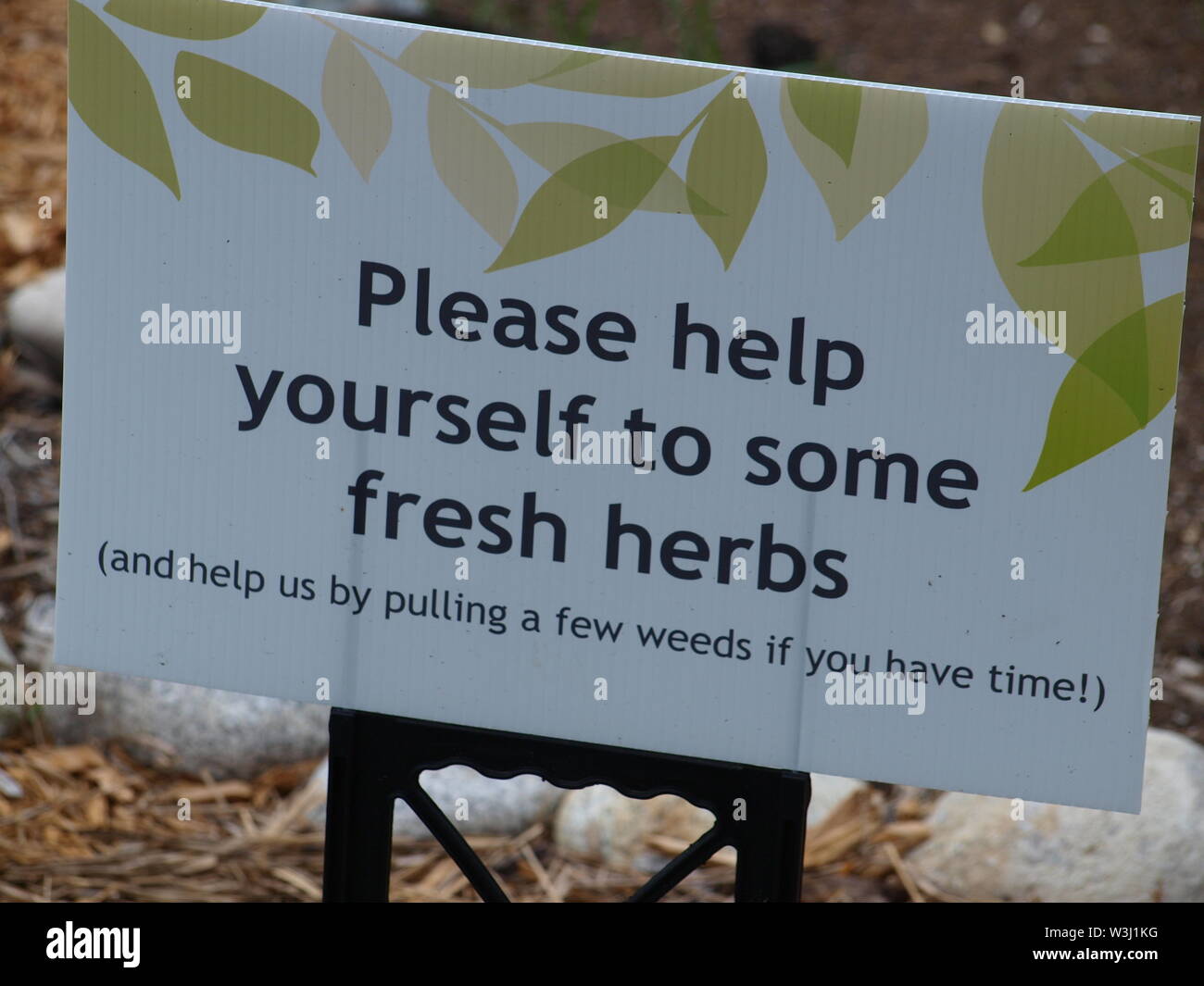 Gardening with Native plants,herbs and brightness of thought Stock ...