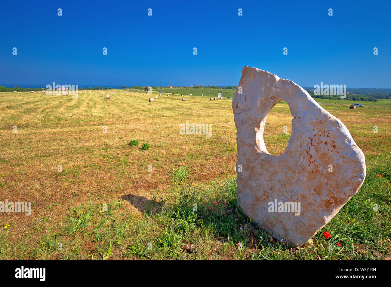 Green landscape of Istria and stone monument in Dajla, Istria region of ...