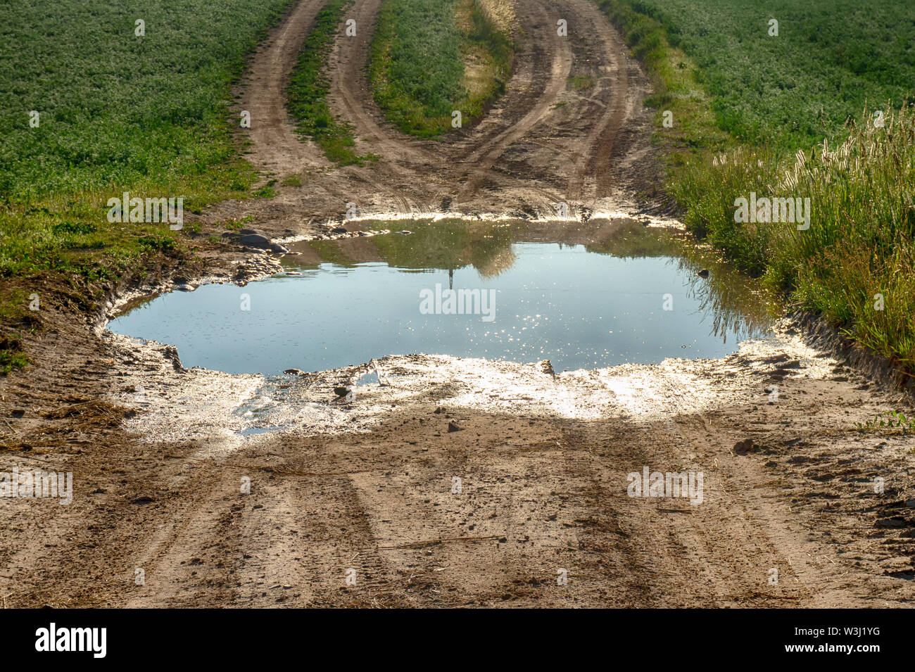 Large puddle of water on a gravel road leading through farm fields with ...