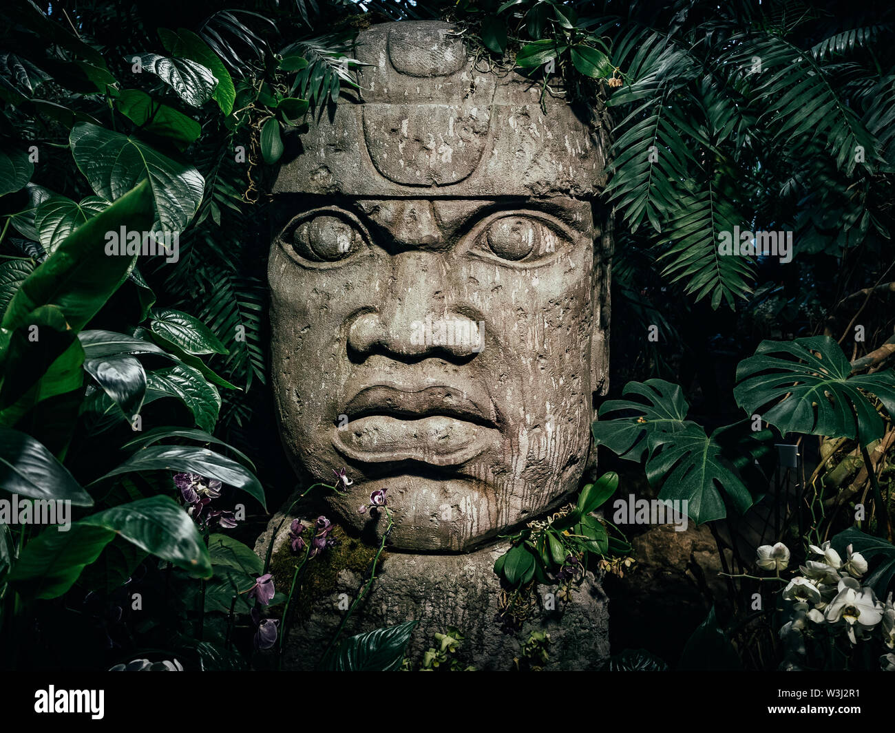 Olmec sculpture carved from stone. Big stone head statue in a jungle ...