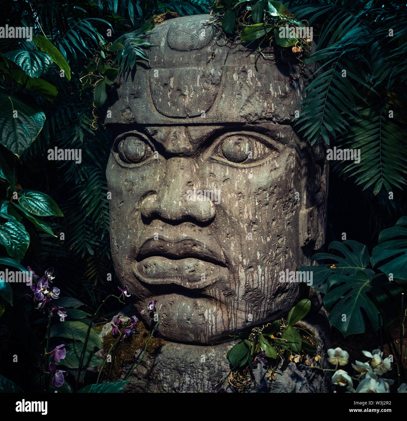 Olmec sculpture carved from stone. Big stone head statue in a jungle ...