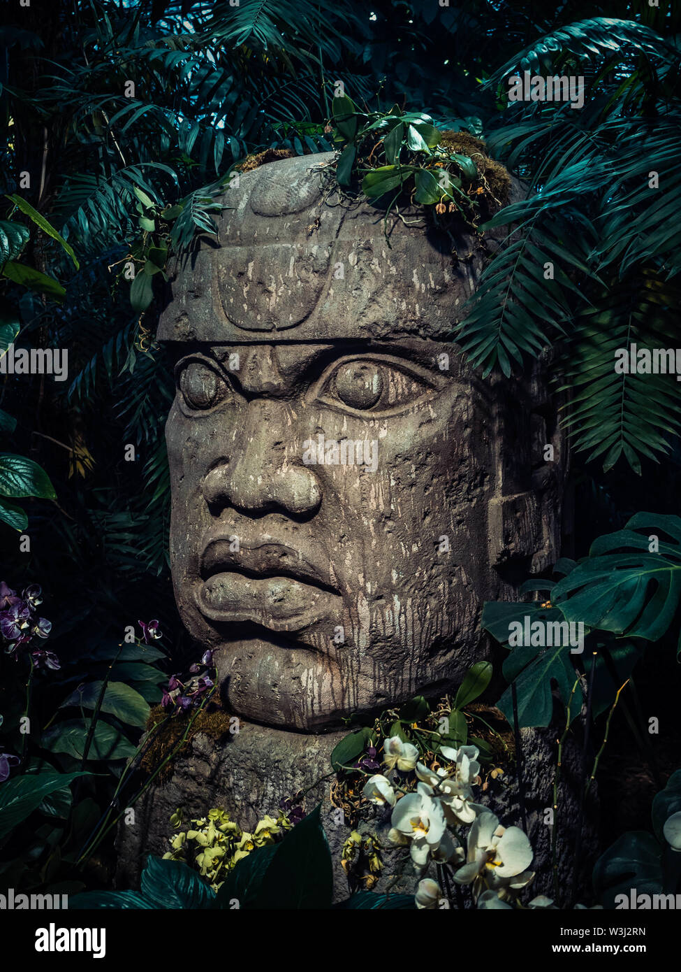 Olmec sculpture carved from stone. Big stone head statue in a jungle ...