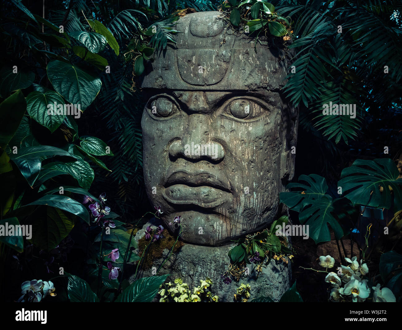 Olmec sculpture carved from stone. Big stone head statue in a jungle ...