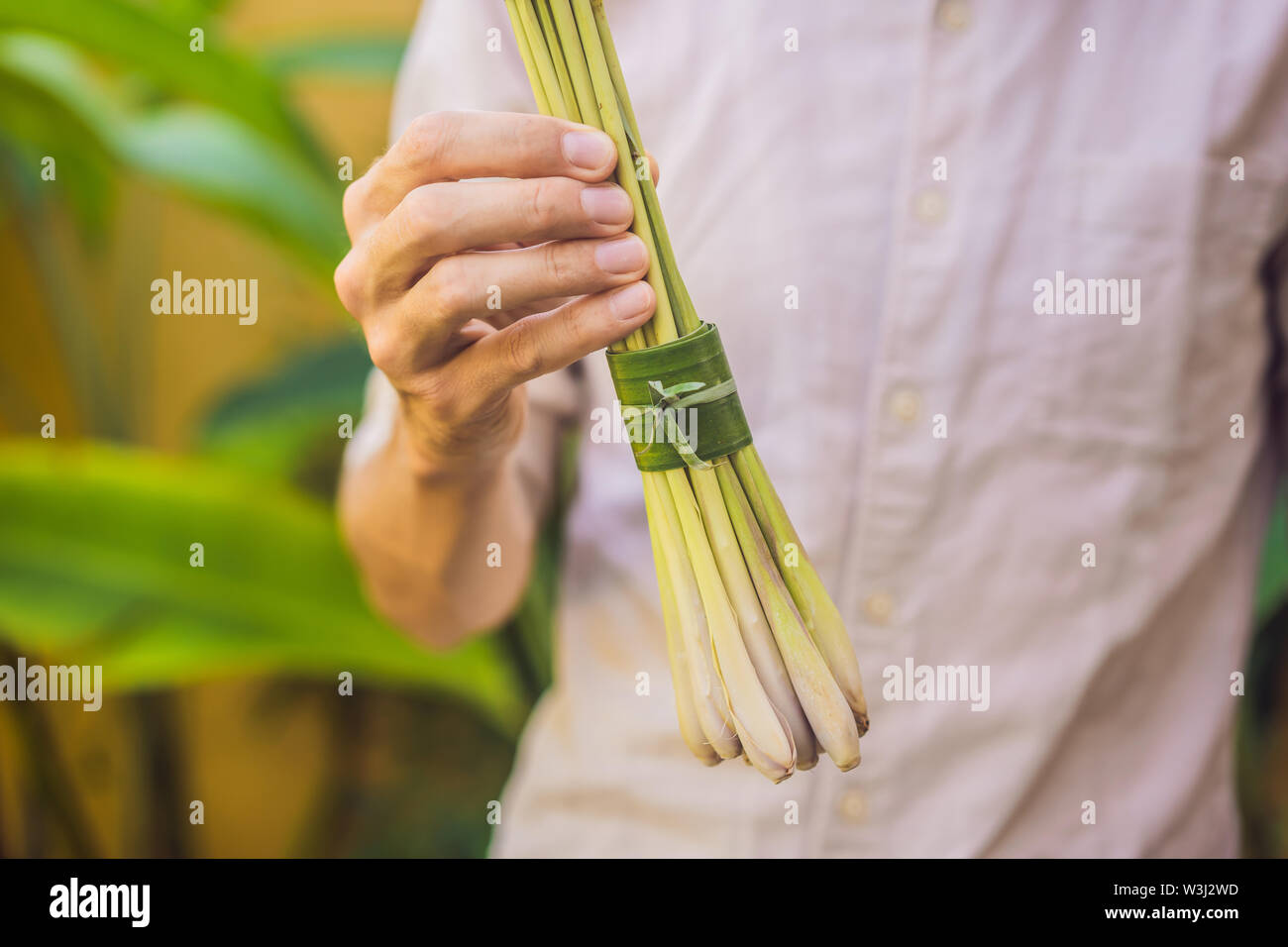Eco-friendly product packaging concept. Lemongrass wrapped in a banana ...