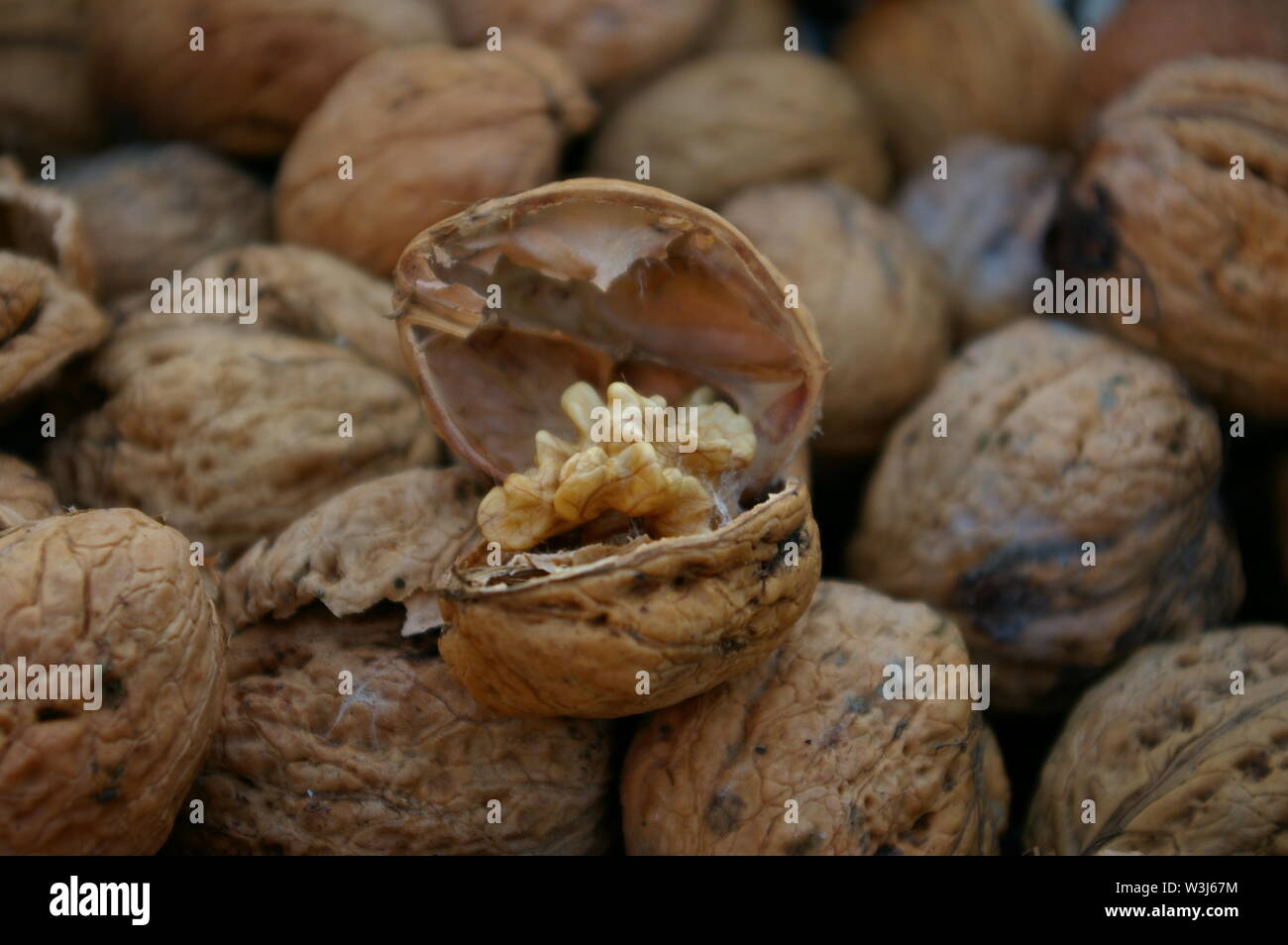 Walnut farming hi-res stock photography and images - Alamy