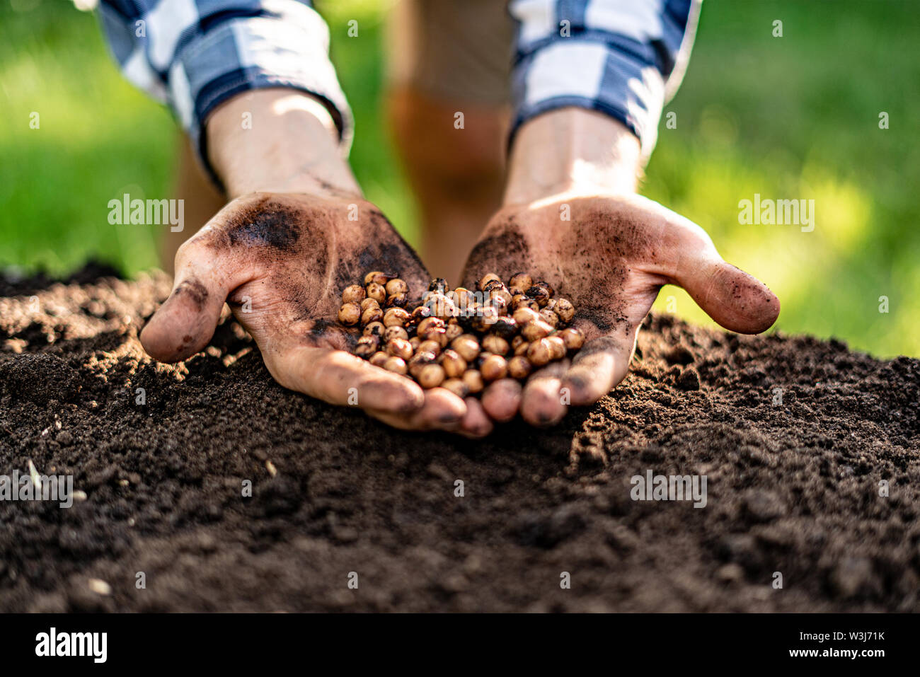 Hand Planting Seeds