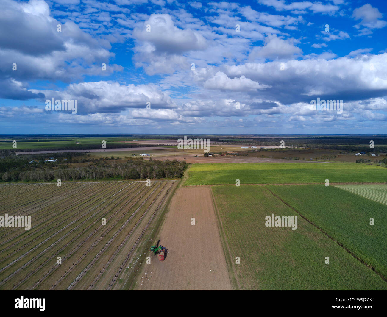 Aerial of combine harvester harvesting sugar cane plantation crop near ...