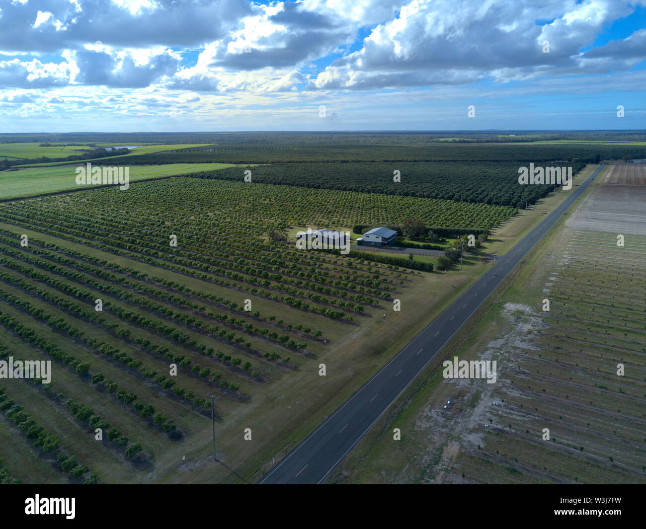 Aerial of macadamia nut tree plantation and farmhouse near Childers ...