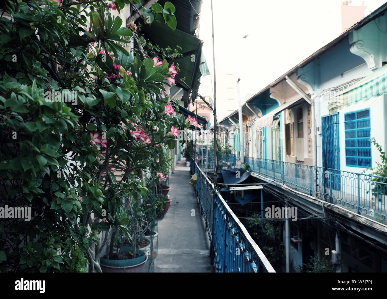 Amazing scene of 100 years old residential area, row of old house ...