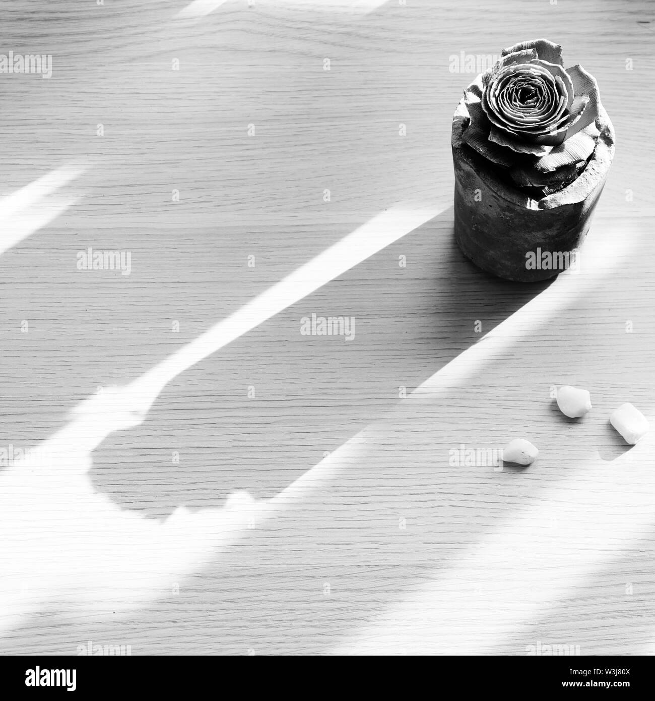 Pot rose white Black and White Stock Photos & Images - Alamy