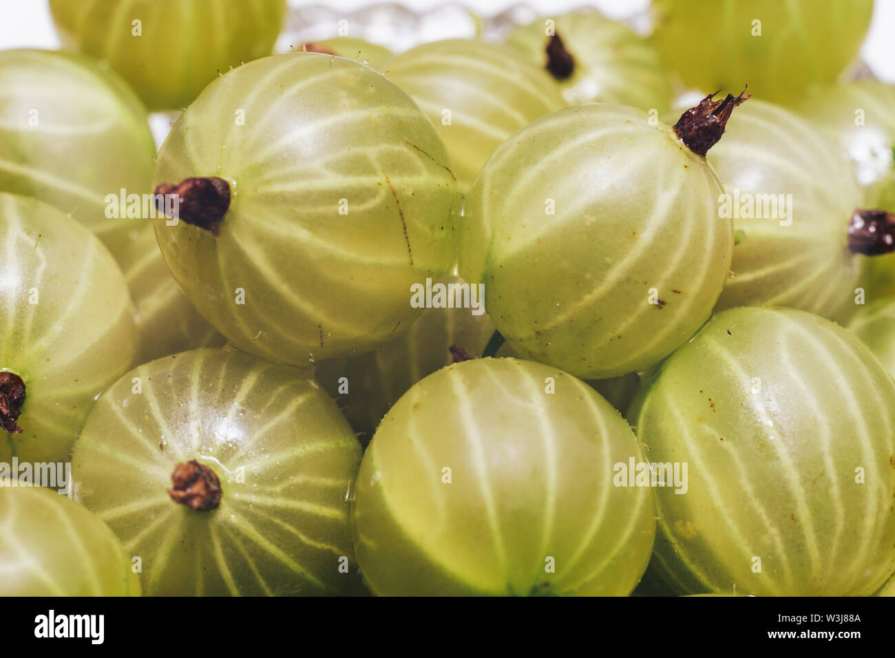 Gooseberry sinking in water hi-res stock photography and images - Alamy
