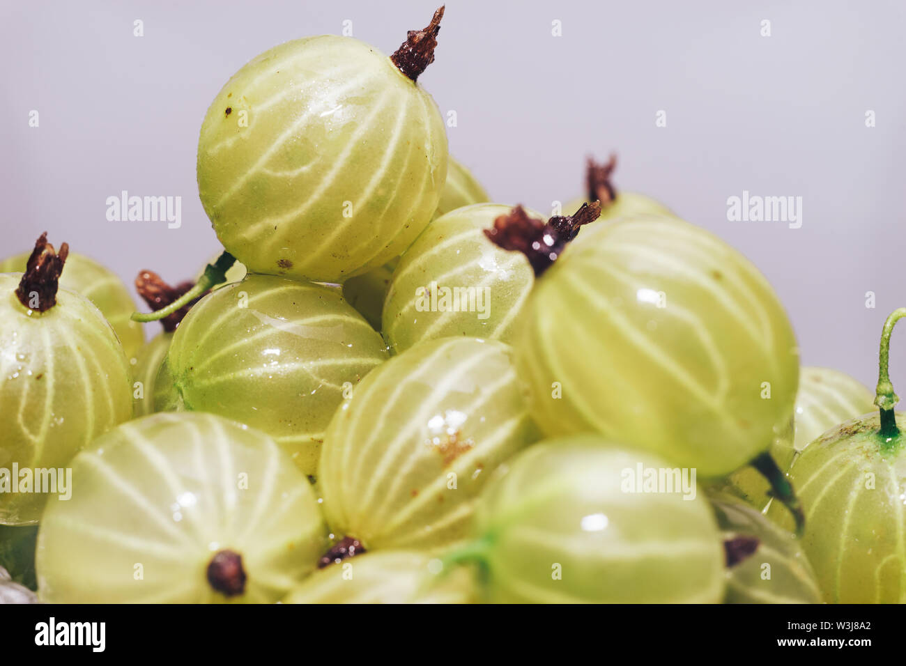 Beautiful fresh green gooseberry of water. Macro view Stock Photo - Alamy