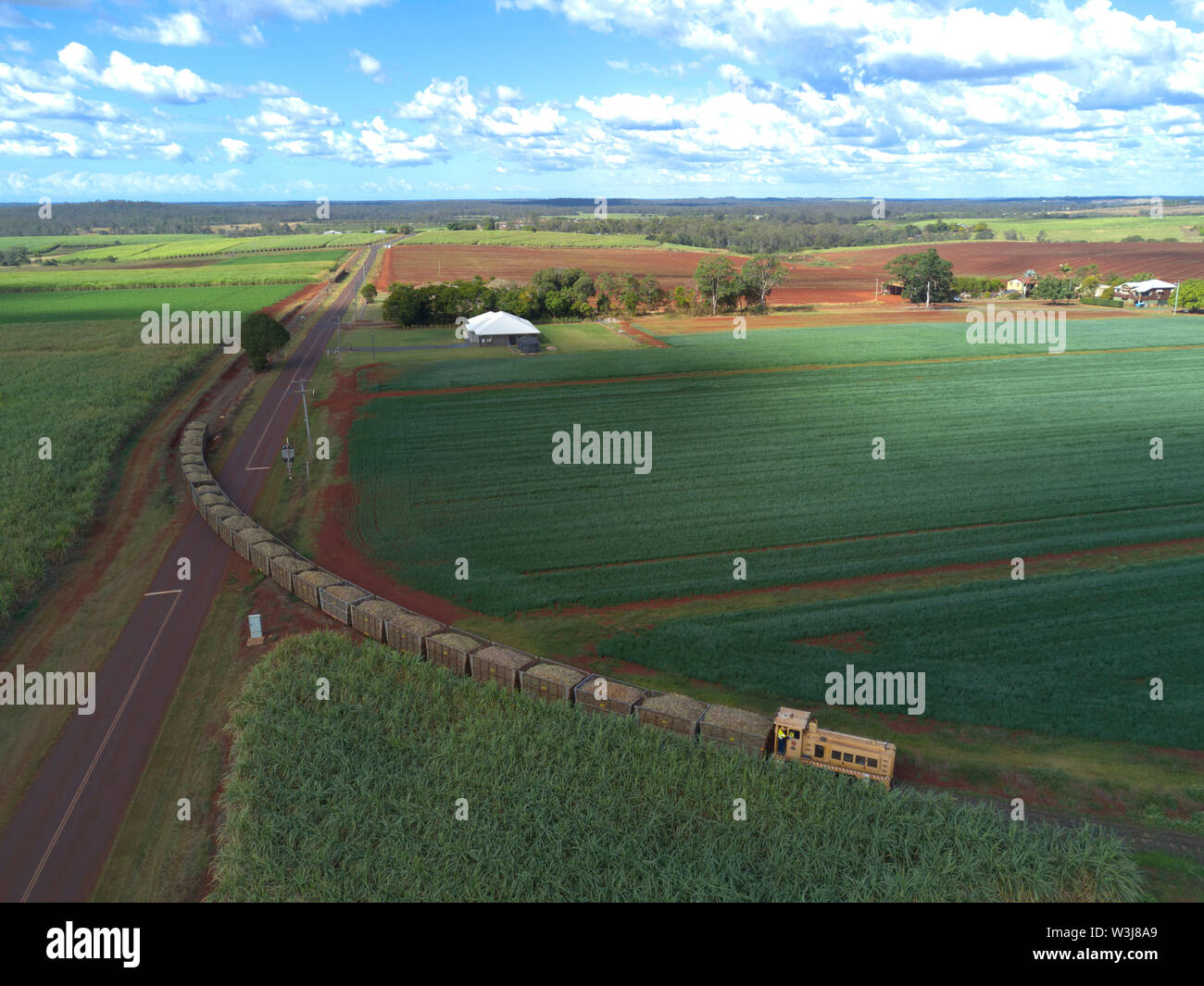 Aerial of sugarcane train hauling freshly cut sugar cane to the Isis ...