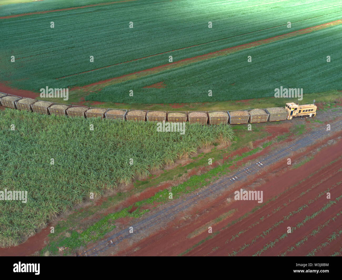 Sugarcane train hi-res stock photography and images - Alamy