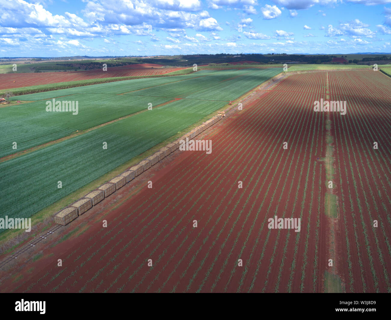 Aerial of sugarcane train hauling freshly cut sugar cane to the Isis ...