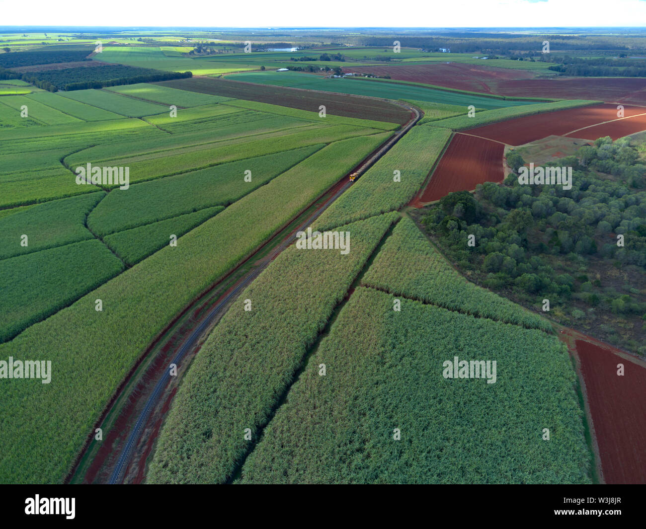Aerial of sugarcane train hauling freshly cut sugar cane to the Isis ...