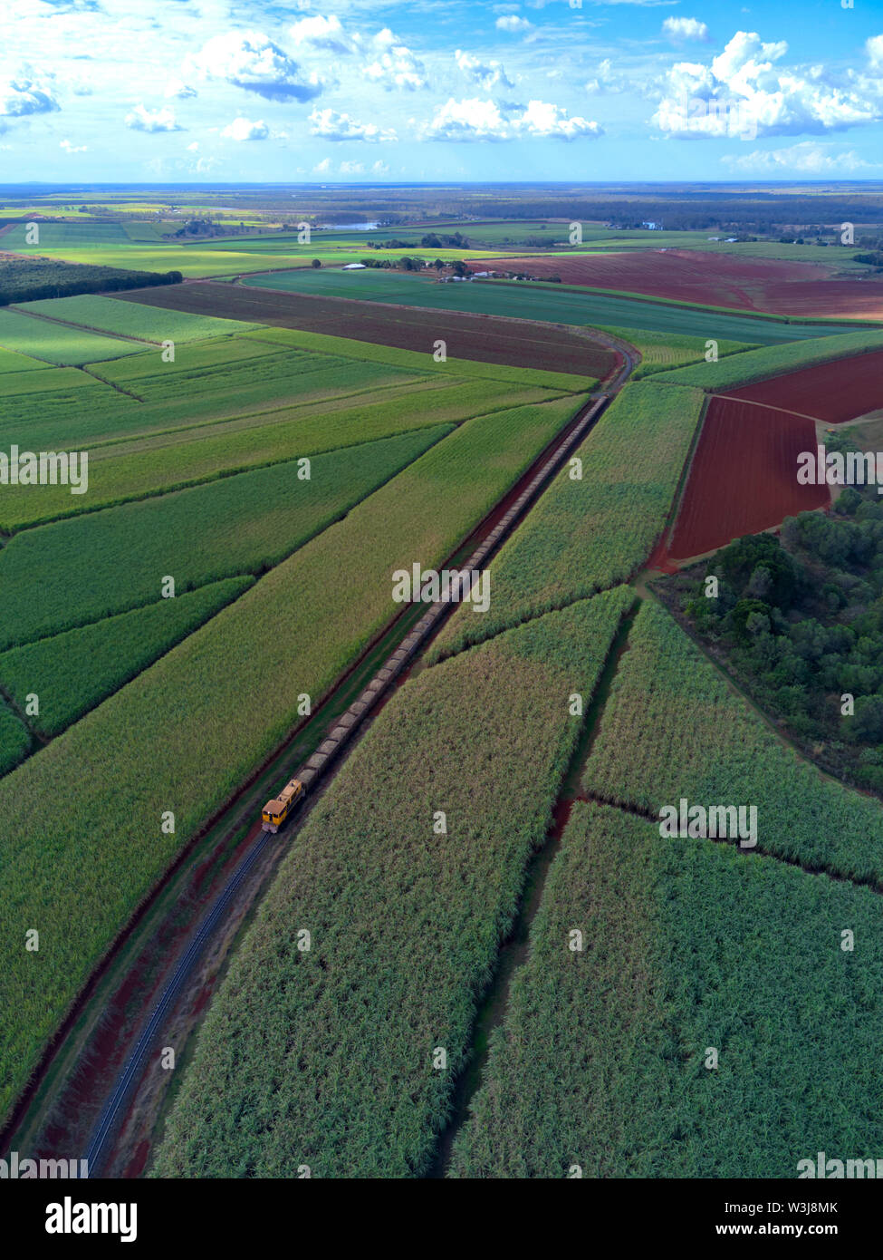 Aerial of sugarcane train hauling freshly cut sugar cane to the Isis ...