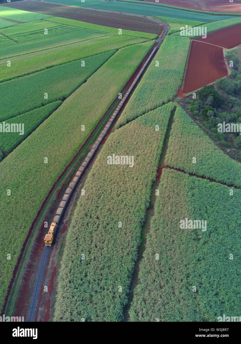 Aerial of sugarcane train hauling freshly cut sugar cane to the Isis ...