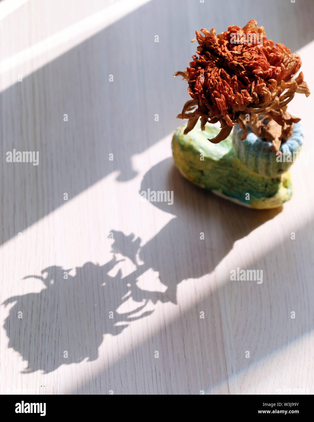 Simple decoration living space indoor at home with red dry daisy flower ...