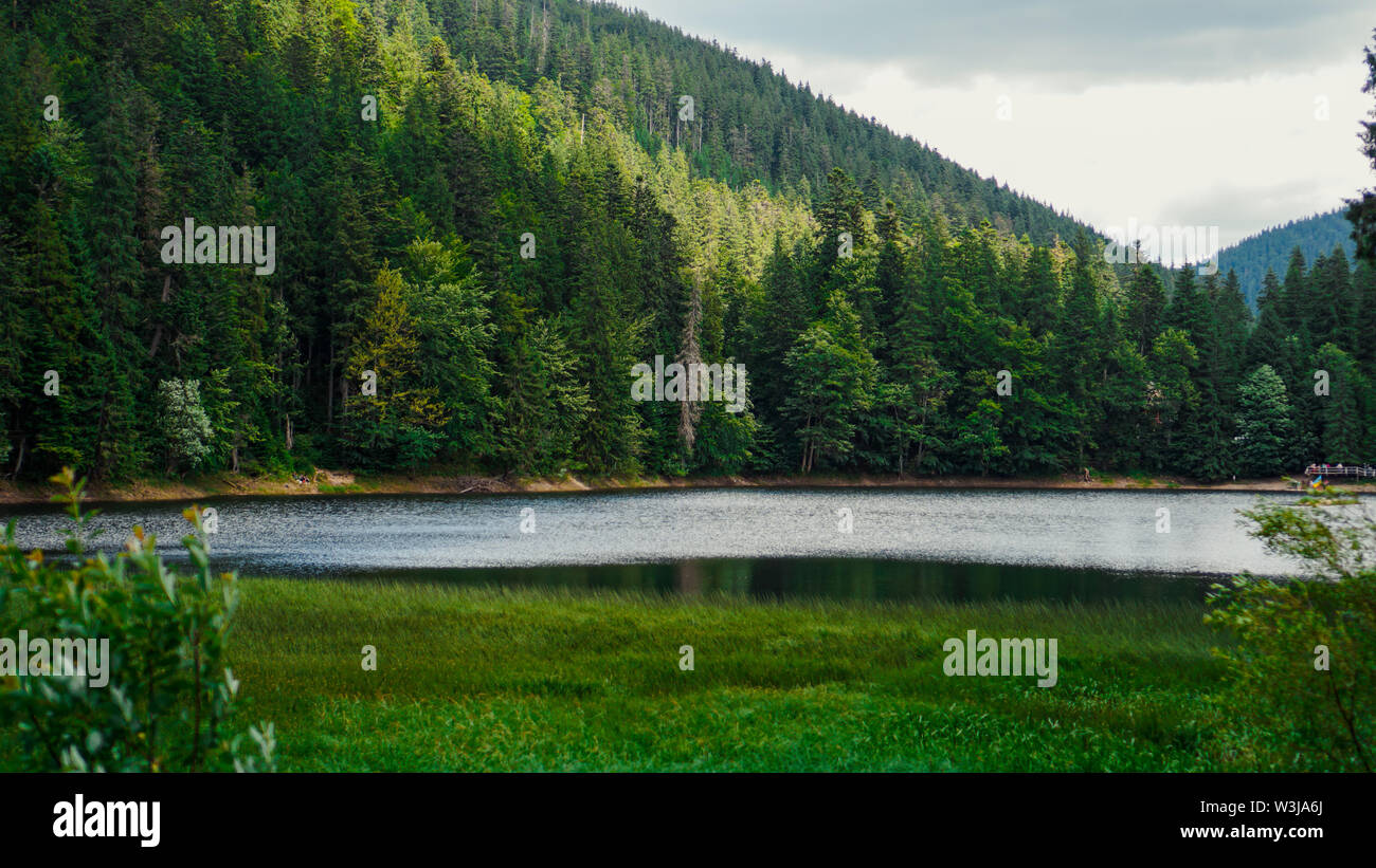 landscape with mountains, forest and a river in front. beautiful ...