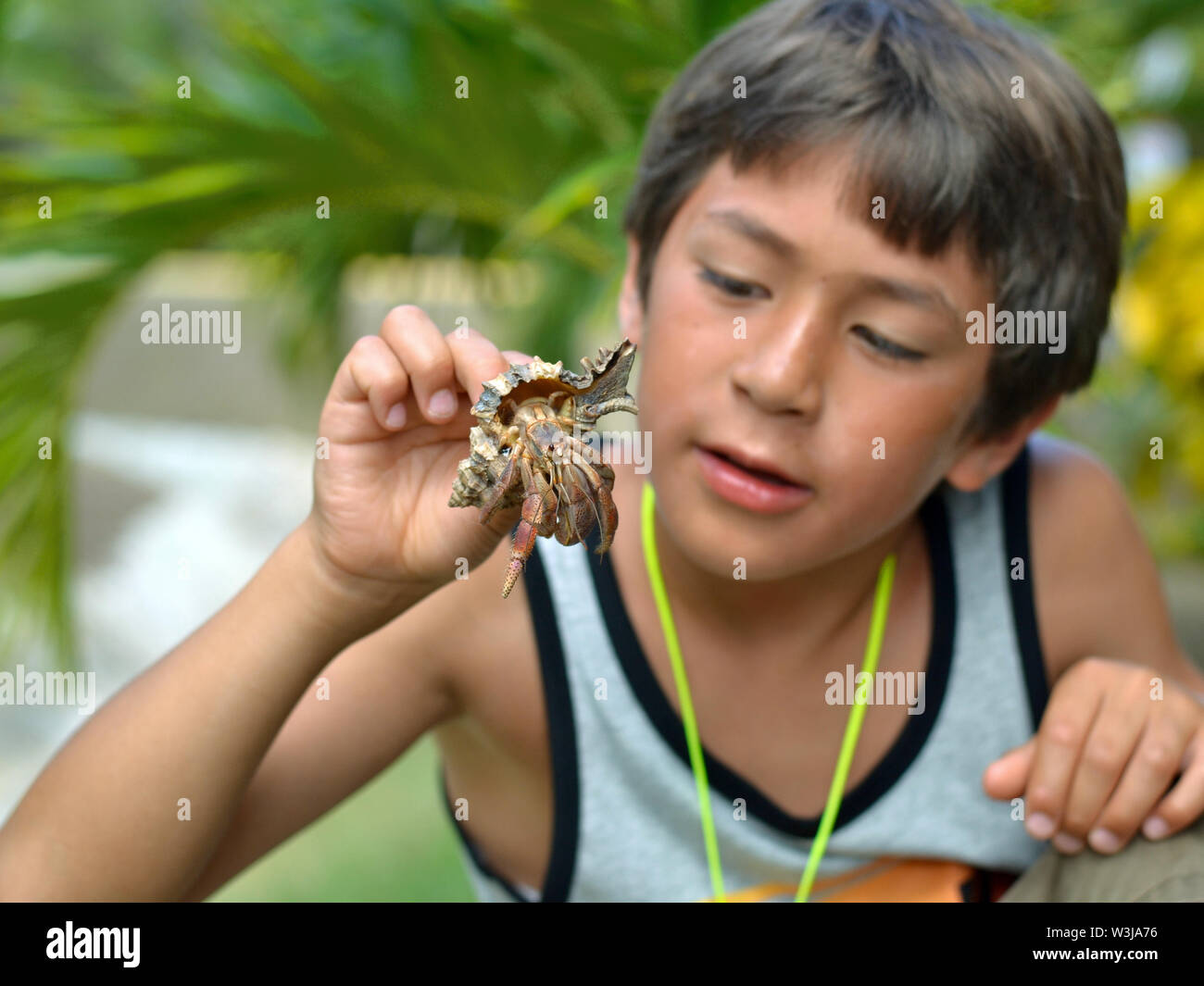 Hermit Crab Boy Or Girl