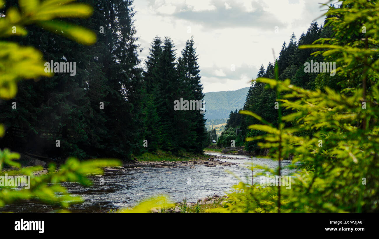 landscape with mountains, forest and a river in front. beautiful ...