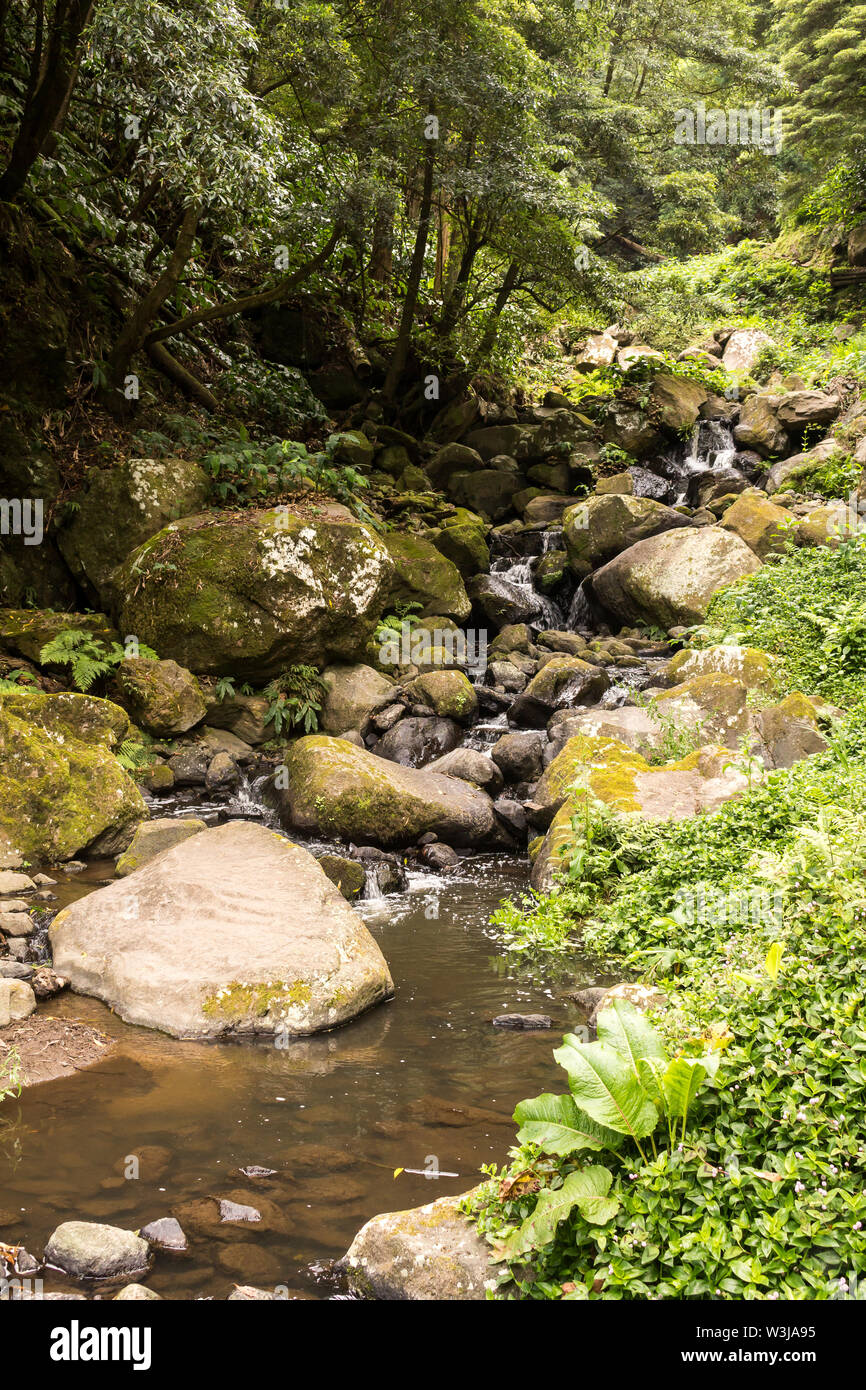 Small river created by the water from waterfall, surrounded by stones ...