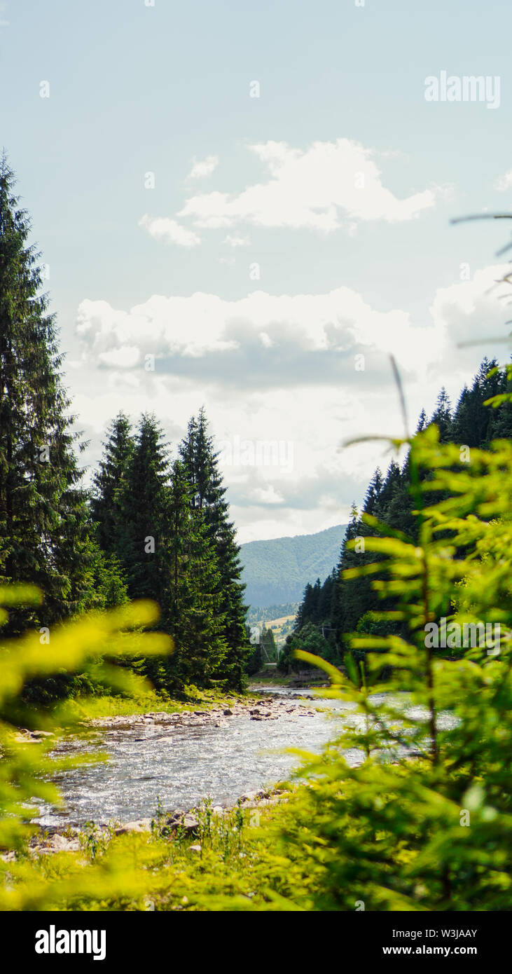 landscape with mountains, forest and a river in front. beautiful ...