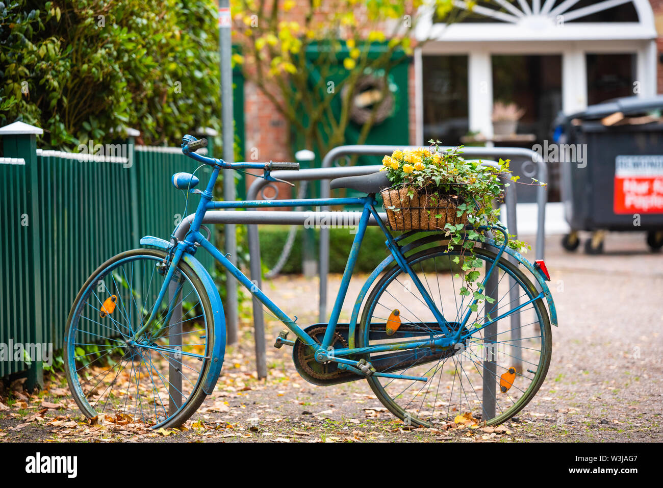 Summer sports theme hi-res stock photography and images - Alamy