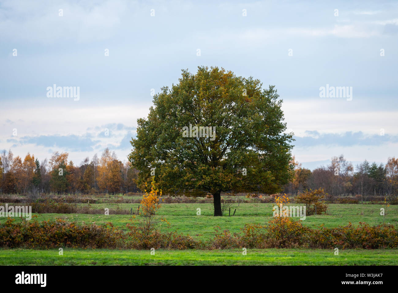 Beautiful situations hi-res stock photography and images - Alamy