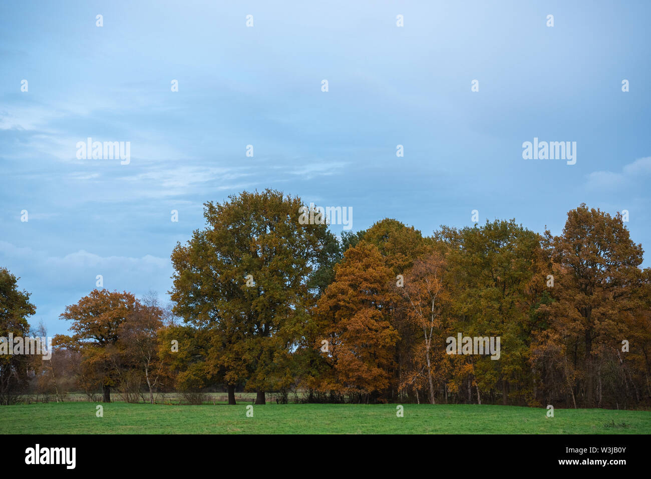 Beautiful situations hi-res stock photography and images - Alamy