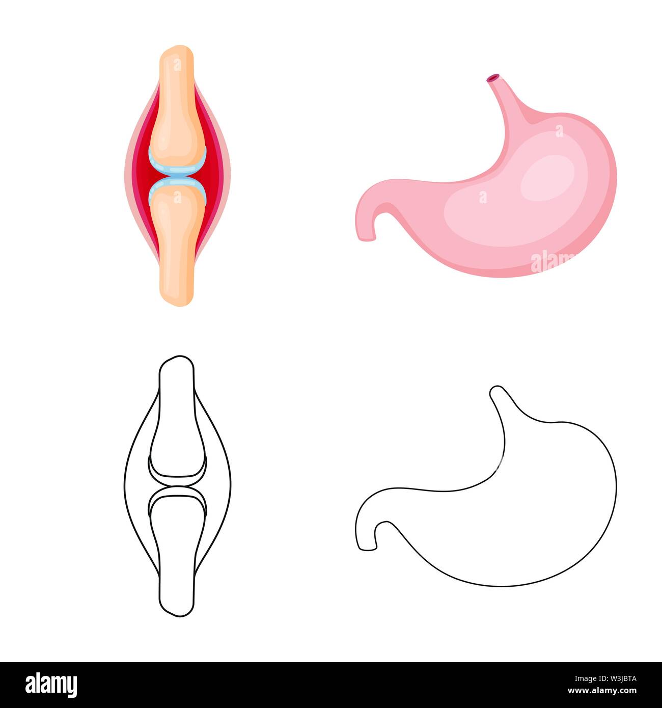 Vector Vectors Stock Vector Image & Art - Alamy