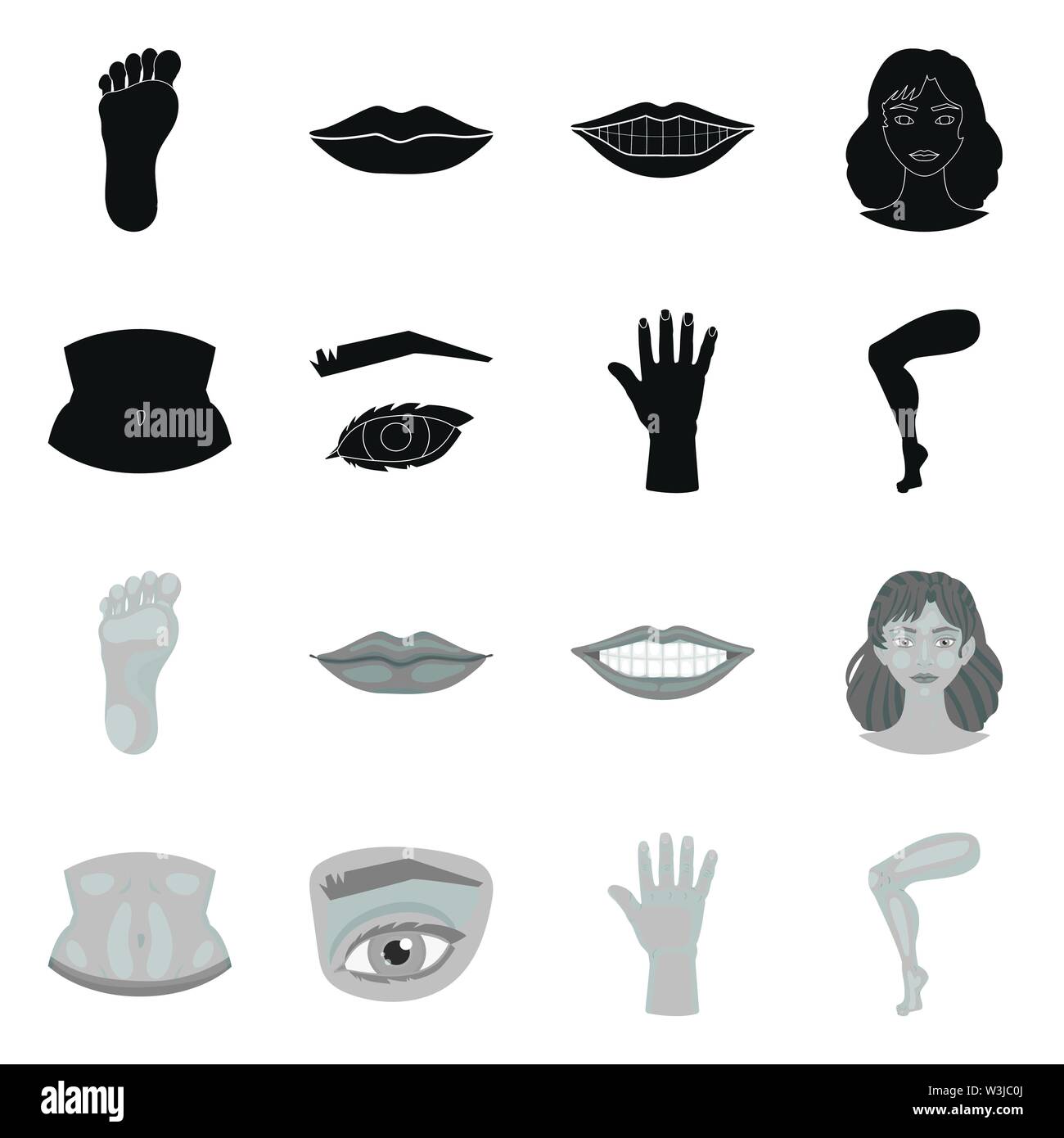 Vector illustration of body and part sign. Set of body and anatomy ...