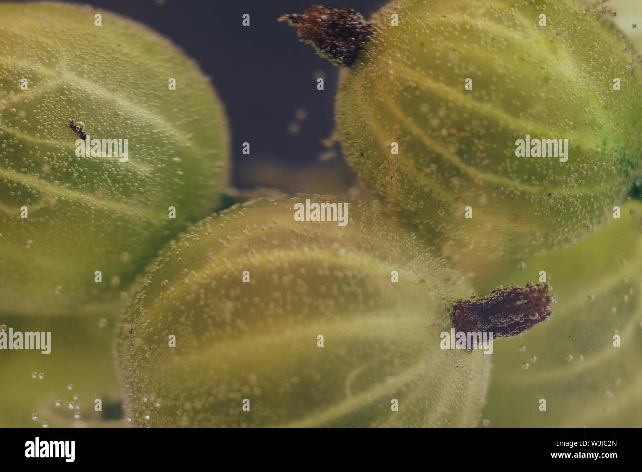 Beautiful fresh green gooseberry of water. Macro view Stock Photo - Alamy