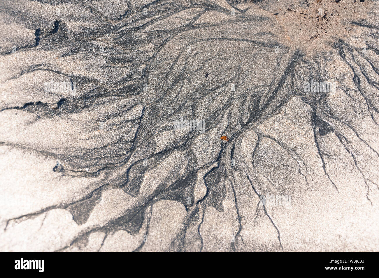 Sand Texture On Beach Close Up Summer Day Scene Vibrant View Of Sand