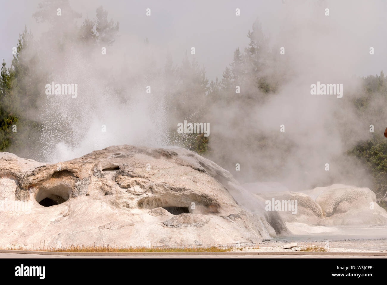 Geyser and hot spring in old faithful basin in Yellowstone National ...