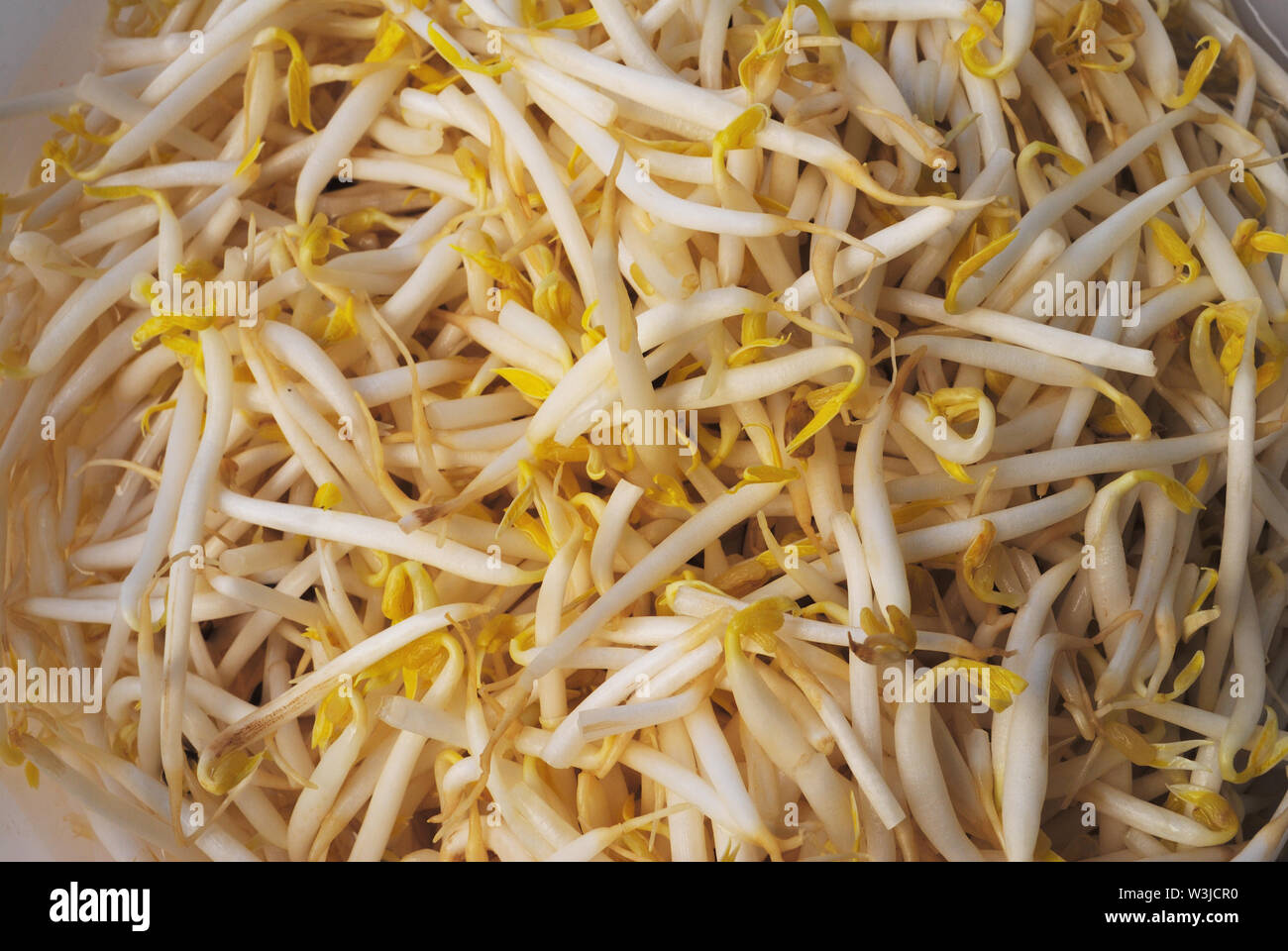 Raw beansprouts hi-res stock photography and images - Alamy
