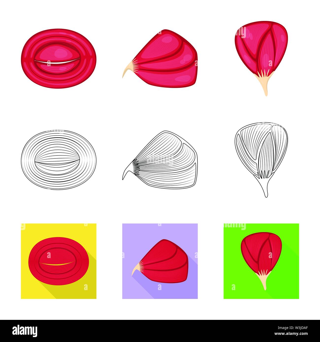Vector design of fiber and muscular logo. Collection of fiber and body ...