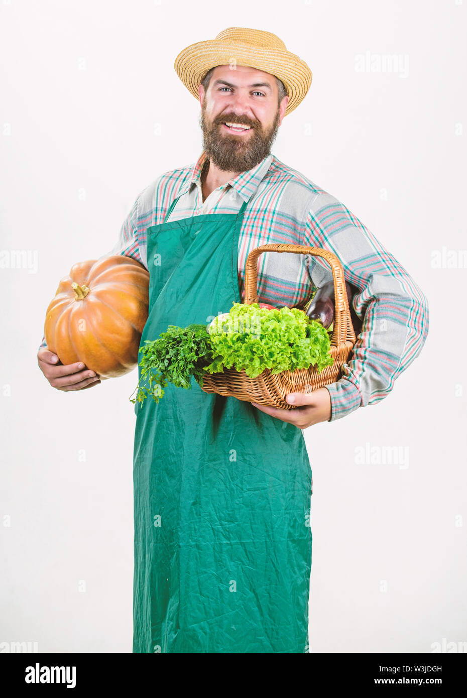 Bringing vegetables. man chef with rich autumn crop. bearded mature ...