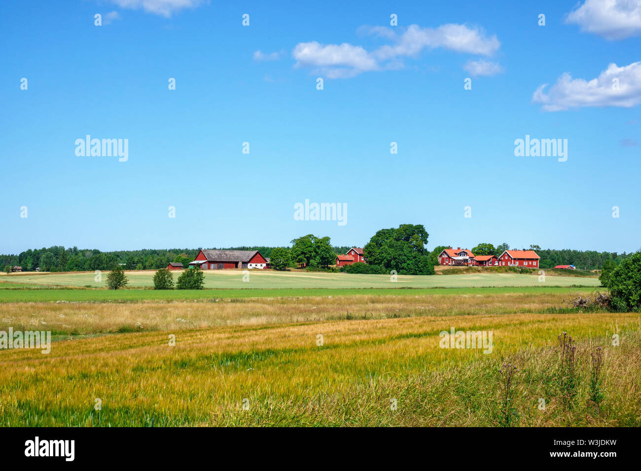 Summer landscape with farms and fields Stock Photo - Alamy
