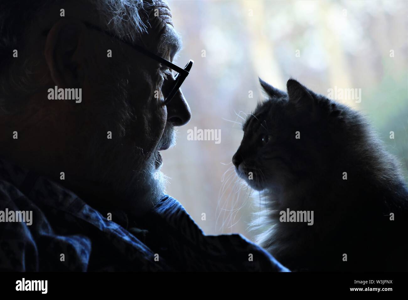 Cats Talking To Each Other Original