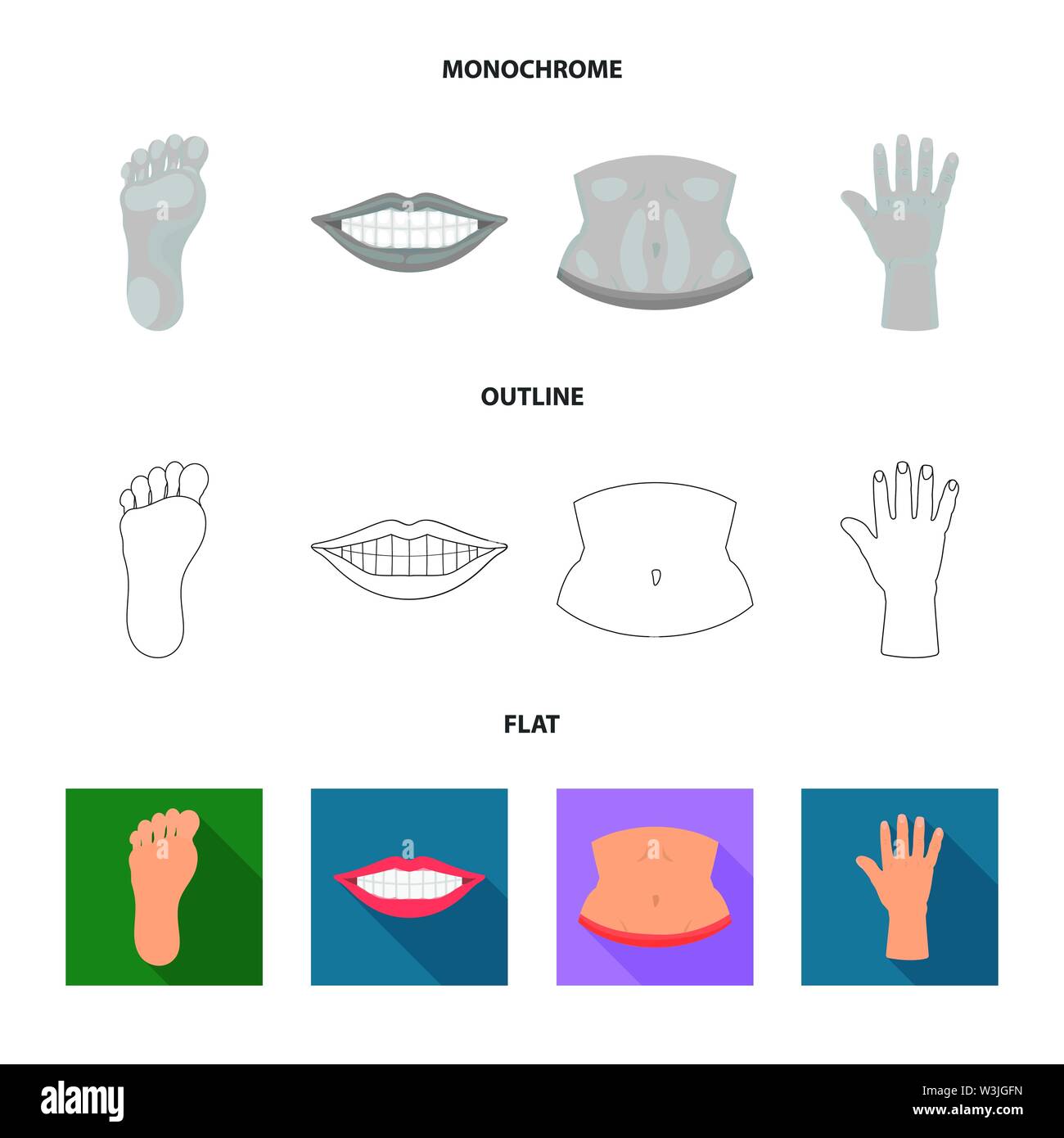 Vector illustration of body and part sign. Set of body and anatomy ...