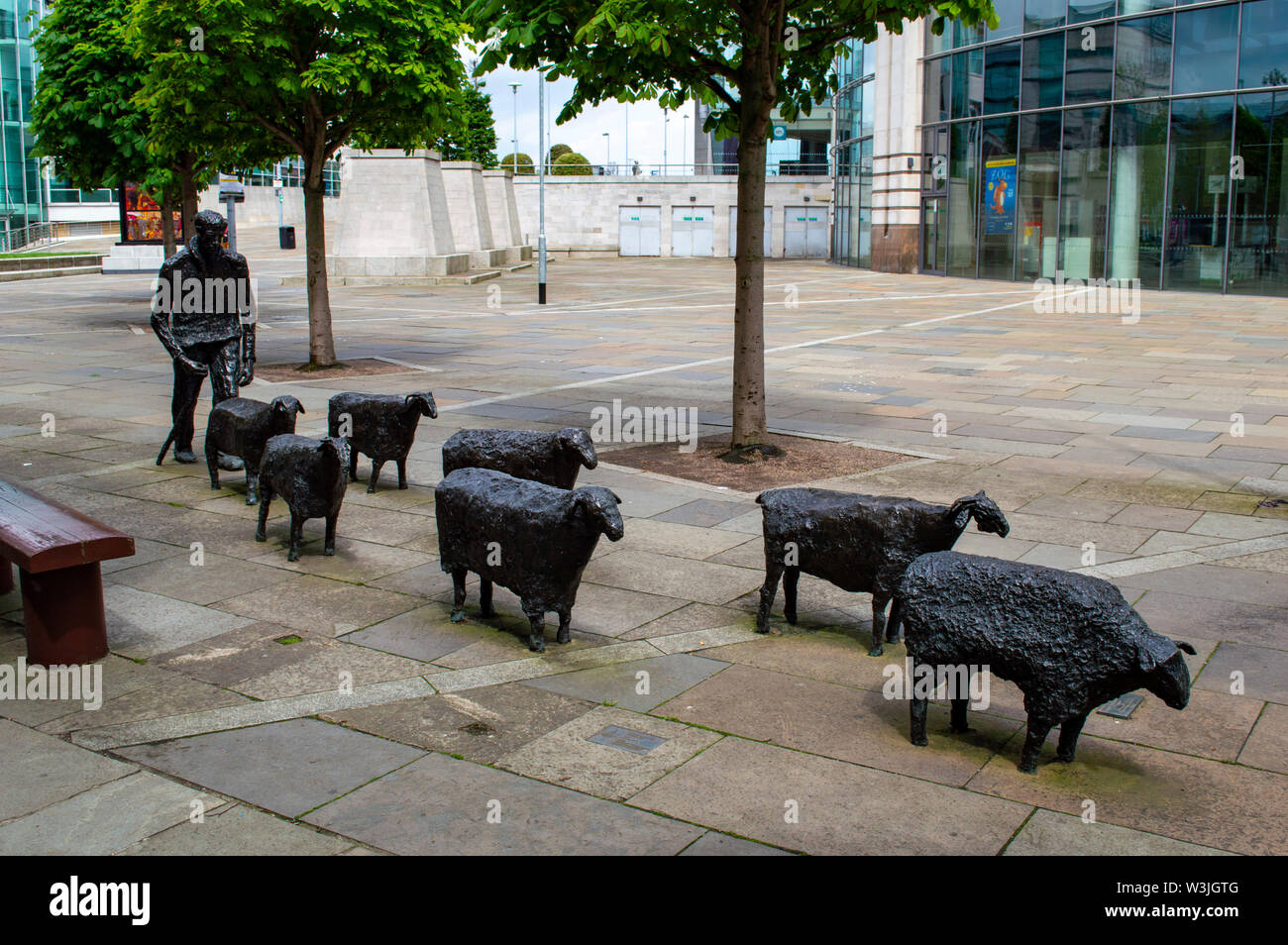 Sheep on the Road statues in Belfast, Northern Ireland Stock Photo - Alamy