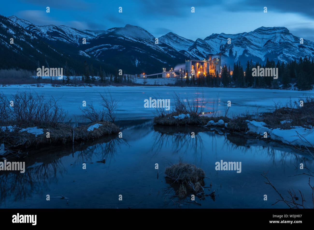 Plant exshaw hi-res stock photography and images - Alamy