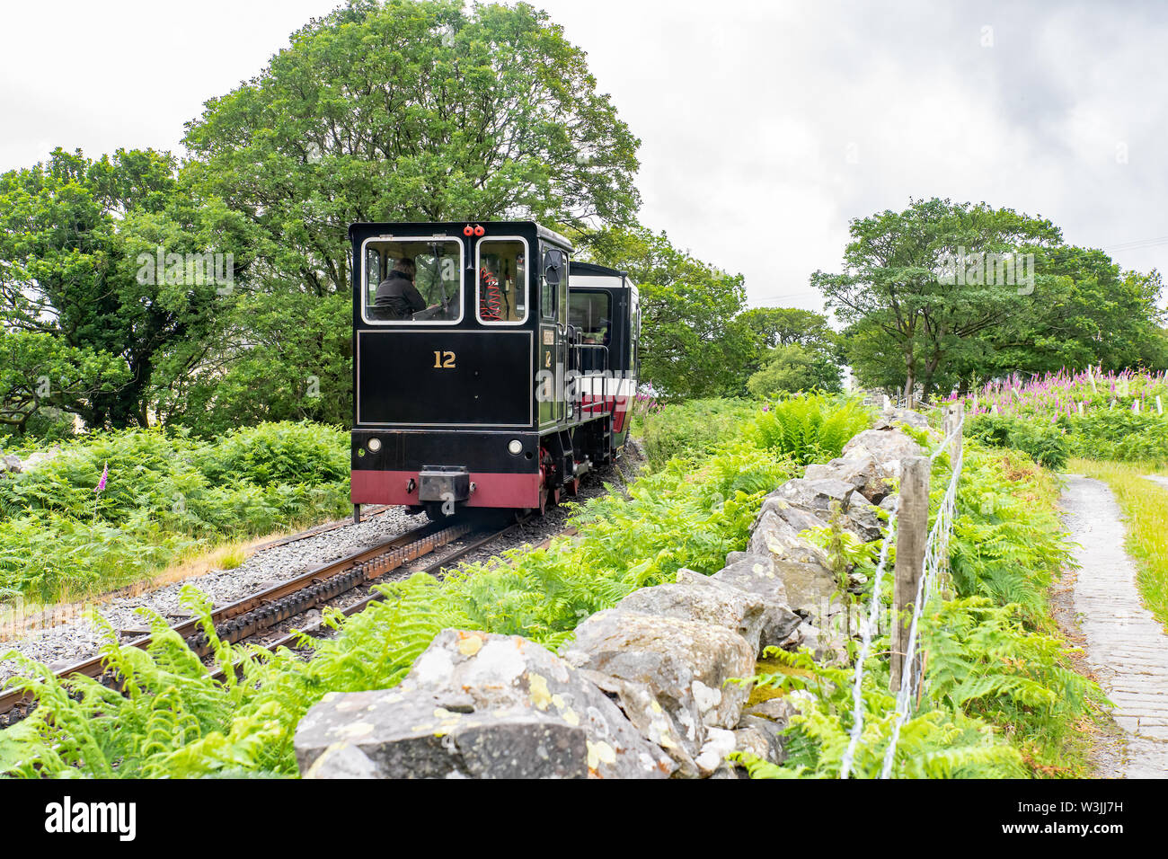 Mount Snowdon Railway, Llanberis, North Wales. A diesel train carrying ...