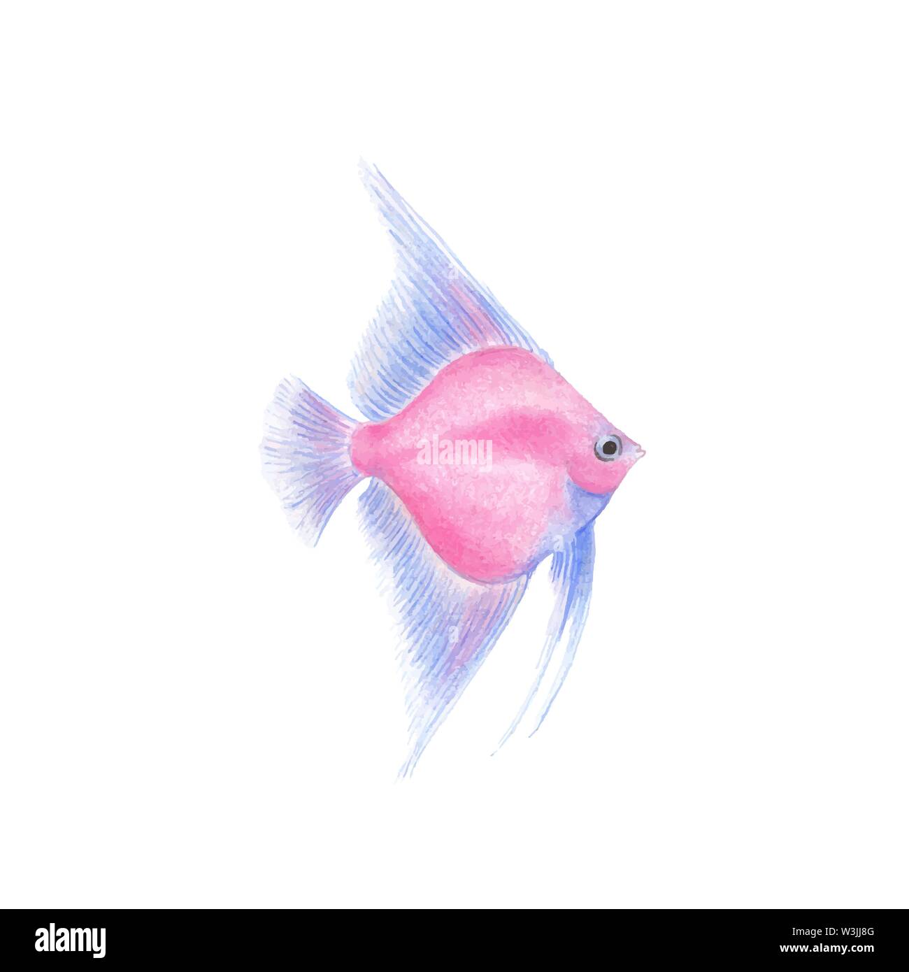 Zoology transparent Stock Vector Images - Alamy