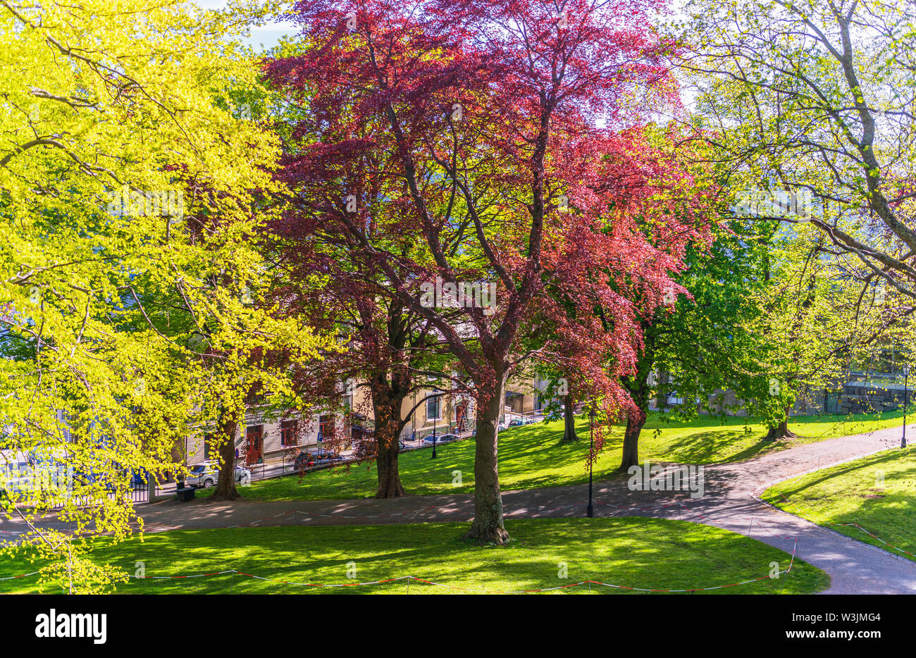 Alesund downtown and surroundings view in a spring sunny morning Stock ...